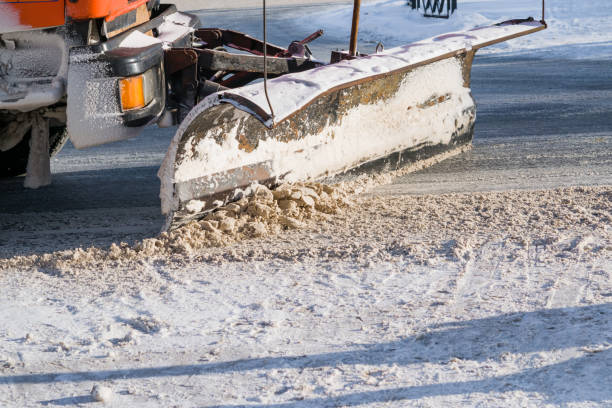 Kommunens oppgaver – Jeg vil stemme! (TALE)