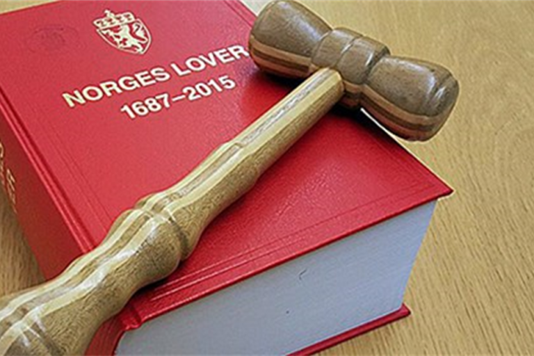 Lovarbeid – Jeg vil stemme! (TALE)